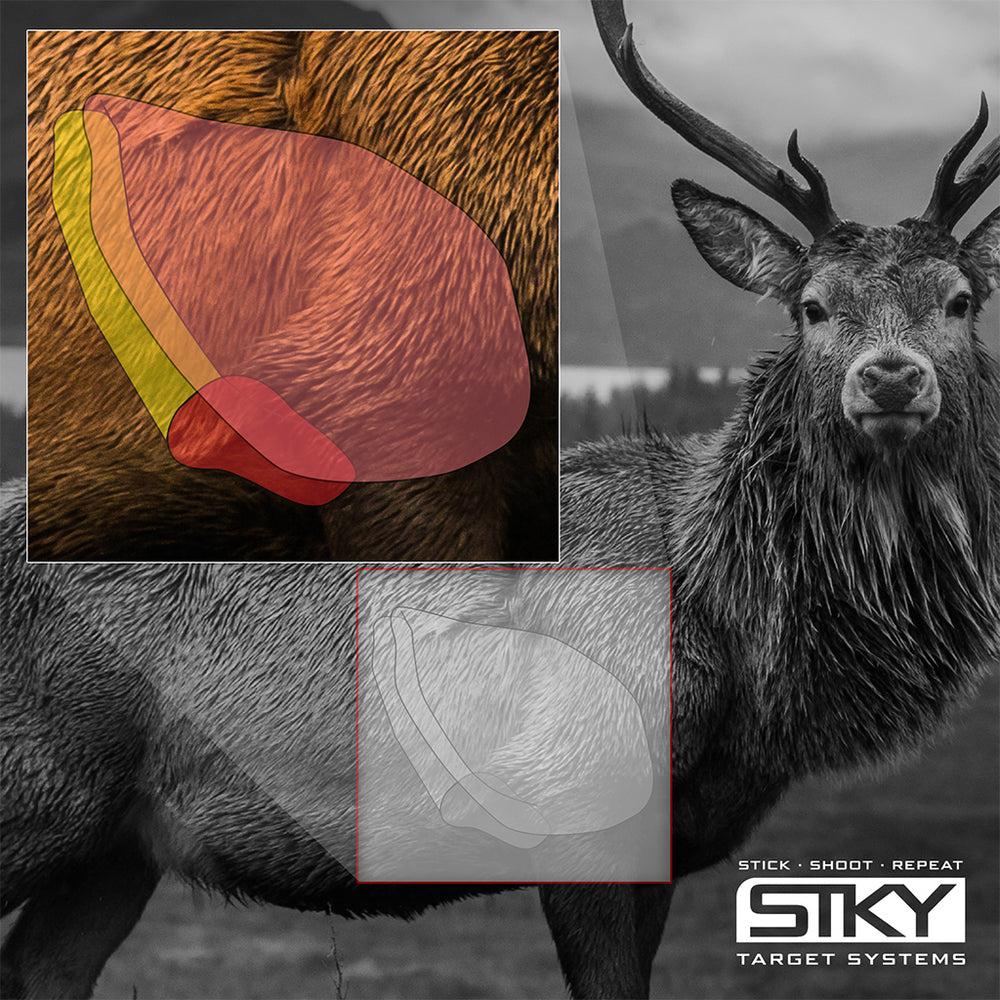 Elk Vital Zone Reface